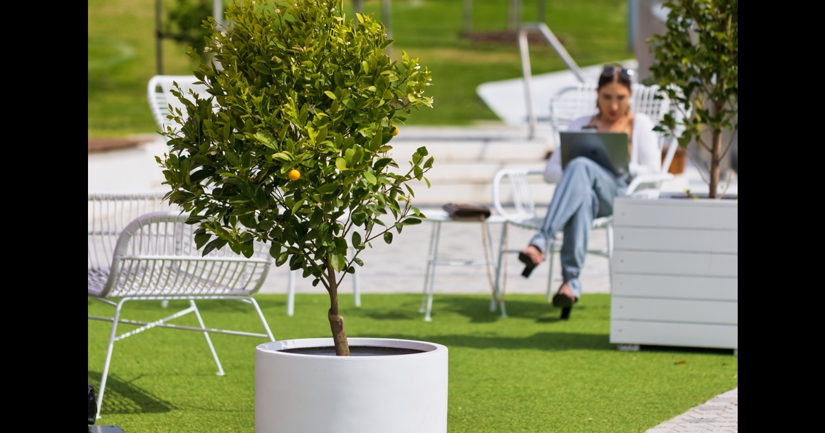 Contact Us - Prahran Square