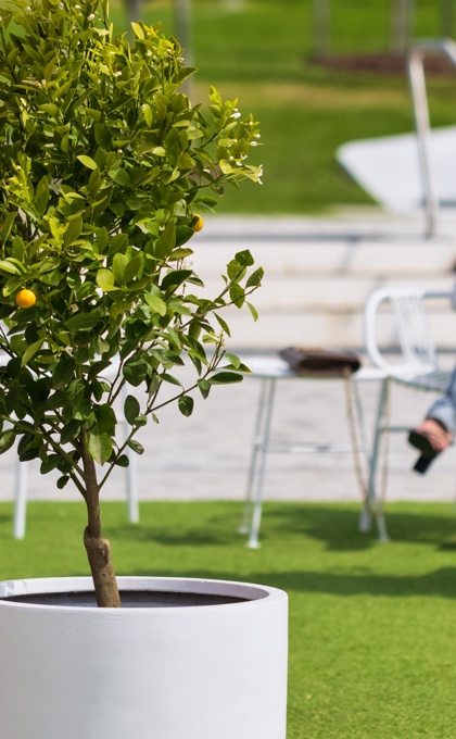 Contact Us - Prahran Square